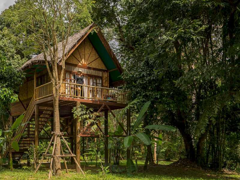 Our Jungle Resorts - Bamboo Travel